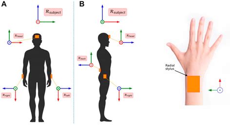 Frontiers Assessing Smoothness Of Arm Movements With Jerk A