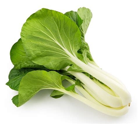 8 Infos About Pak Choi Siberia Greenhouse