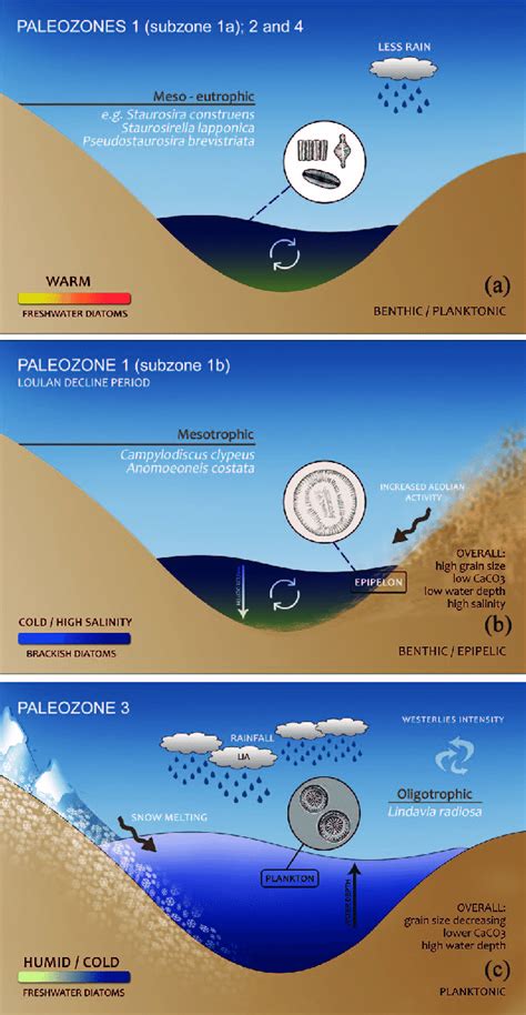 Aquatic Ecosystem Drawing Untitled Document