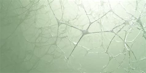 3d Illustration Of Neurons Forming A Network Of Connections Possibly Representing The Brain