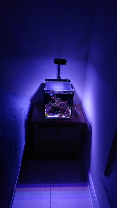 Aio Build Pico Or Aio Tanks Lets See Them Reef2reef