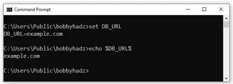 Export Is Not Recognized As An Internal Or External Command Bobbyhadz