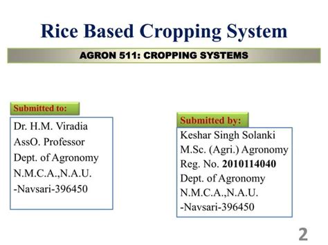 Rice Based Cropping System Pptx Agriculture Industries