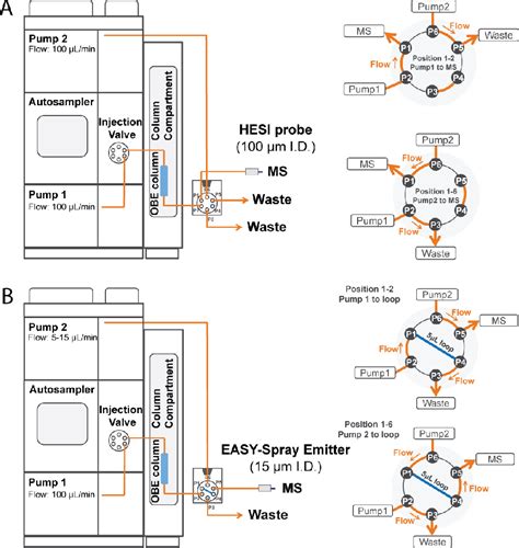 PDF Online Buffer Exchange Enables Automated Membrane Protein Analysis By Native Mass