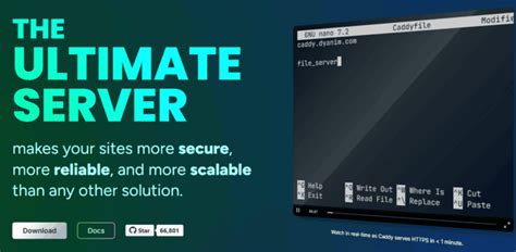 Caddy Reverse Proxy In 2025 The Simplest Docker Setup For Your Home