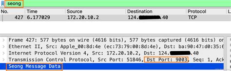 wireshark自定义lua插件 wireshark lua插件 csdn博客