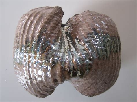 Isabelle Charron 2014