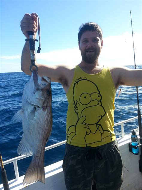 Mooloolaba Fishing Charters Deep End Reef Fishing Sunshine Coast