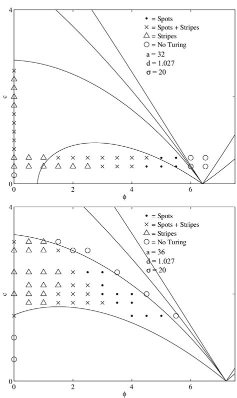 11 Numerical Phase Diagram Of C Vs φ For Different A Values The