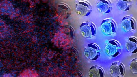 Scalable Organ On A Chip Systems