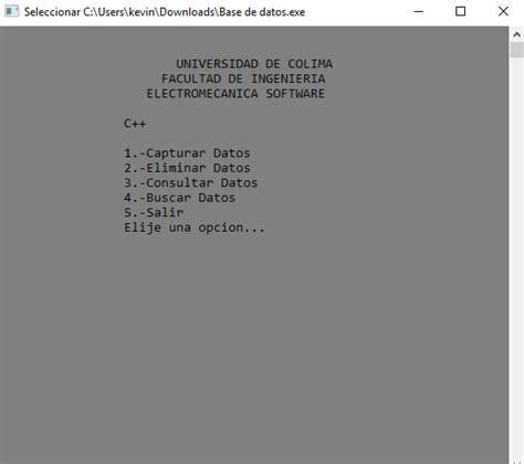 GitHub KevinJGMartinez Base De datos en C En esta aplicación hice una mini base de datos en