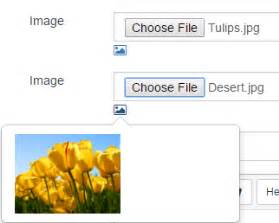 Javascript Preview Image On Popover Not Displaying Correctly Stack Overflow