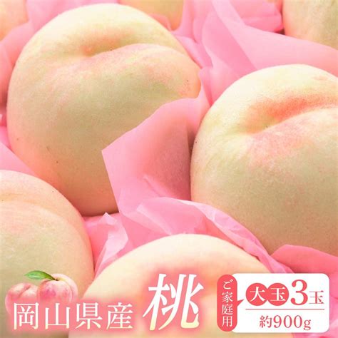 【楽天市場】【ふるさと納税】桃 2025年 先行予約 ご家庭用 岡山市一宮産 白桃（早生、中生種）約13kg 4～6玉 もも モモ フルーツ