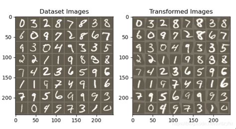 代码解读and运行 Spatial Transformer Networks（stn） Csdn博客