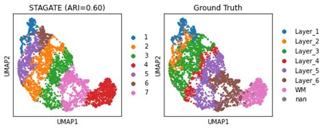 Tutorial 1 10x Visium Dlpfc Dataset — Stagate 100 Documentation