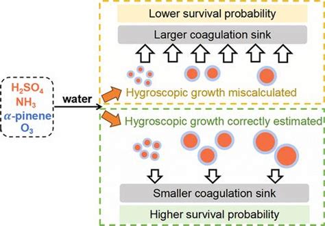 小于 20 Nm 大气相关颗粒的尺寸和成分依赖性吸湿生长：对新颗粒存活的影响 Environmental Science And Technology X Mol