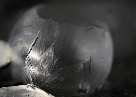 Frozen Foto And Bild Fotos Art Spezial Bilder Auf Fotocommunity