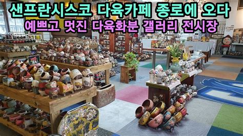 다육이♡ 샌프란시스코 다육카페 종로에 오다 💓 예쁘고 멋진 다육화분 갤러리 전시장 💓 Youtube