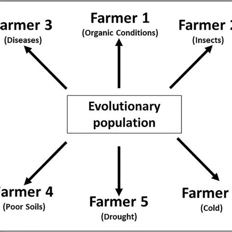 An Evolutionary Population Is Distributed To Different Farmers Six Download Scientific Diagram