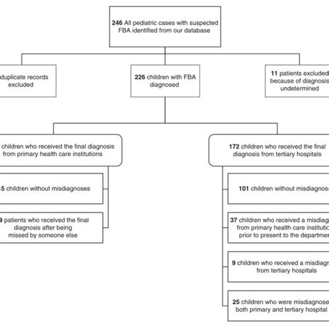 Classification Of Patients According To The Diagnosis Pattern Download Scientific Diagram