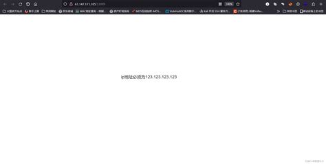 每天一道ctf（web方向）ctf Your Ip Csdn博客