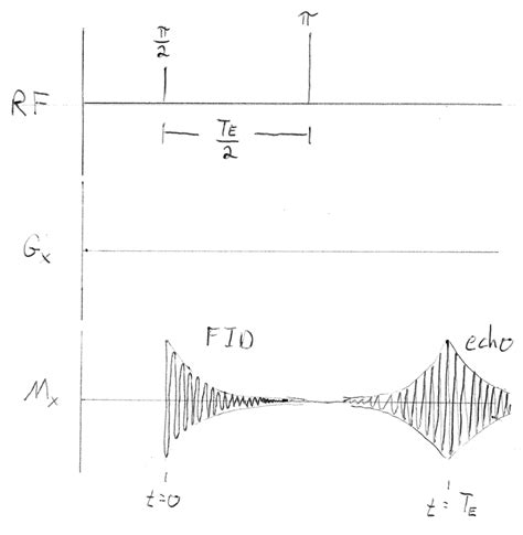 intermediate physics for medicine and biology frequency encoding and