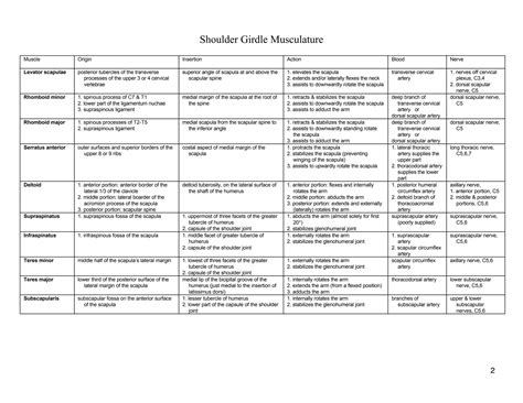 Muscle Attachment Table Compartment Wise Ppt