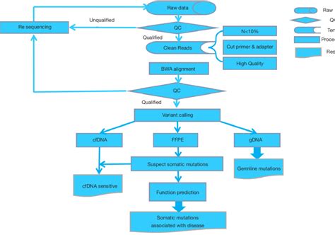 The Dna Amplicon Sequencing Analysis Process Download Scientific Diagram