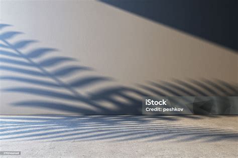 깨끗한 벽과 바닥에 야자수 잎 그림자가 있는 현대적인 콘크리트 방 내부의 추상적인 모습 3d 렌더링 0명에 대한 스톡 사진 및 기타 이미지 Istock