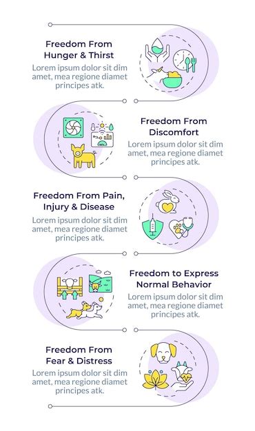Cinco Liberdades Animais Infográfico Sequência Vertical Vetor Premium