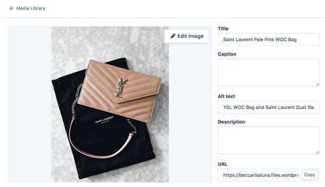 SEO Best Practices For Images On Your Blog Website Or Online Store Becca Risa Luna