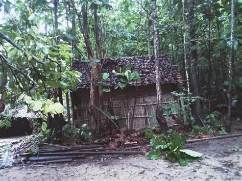 စစ်ကောင်စီတပ်က လက်နက်ကြီးနှင့် ပစ်ခတ်ခဲ့သည့် အတွက် ကျောင်သူ ၃ ဦးထိခိုက်ဒဏ်ရာရ Ayeyarwaddy Times