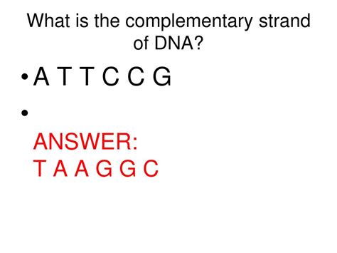 Ppt What Is The Complementary Strand Of Dna Powerpoint Presentation Id 3889086