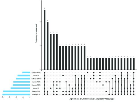 Intersection Plot Showing The Frequency Of Agreement For Sampling