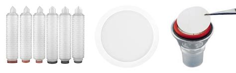 Water Purification With Cellulose Membrane Filter