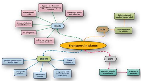 Mind Map — Lesson Science State Board Class 10