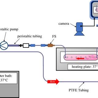 Schematic Representation Of The Microfluidic Experimental Set Up The Download Scientific