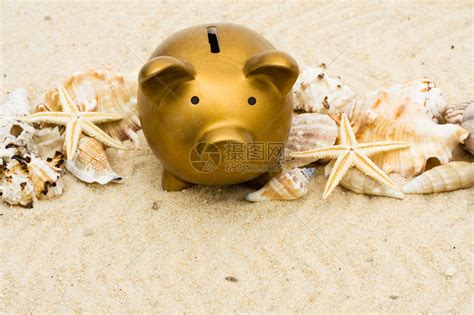 有很多贝壳坐在沙地上的金猪库里高清图片下载 正版图片503566036 摄图网