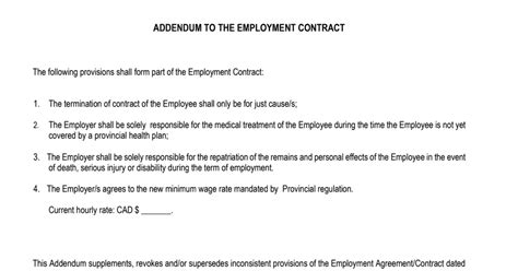 Addendum To The Employment Contract