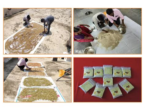 Action Plan For Value Addition And Livelihood Development At Tribal