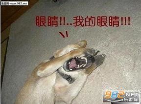 啊我的眼睛gif动态表情 啊我的眼睛表情包无水印版下载 乐游网游戏下载