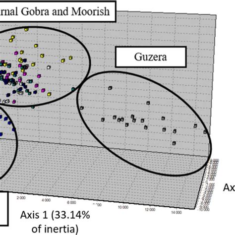 Correspondence Analysis Performed On The Gobra And Moorish Zebu Populations Download