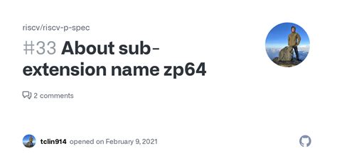 about sub extension name zp64 · issue 33 · riscv riscv p spec · github