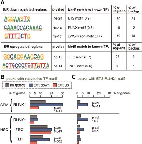 Enrichment Of Tf Motifs At Enhancers In The Vicinity Of Er Regulated