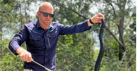 कचन म मइकरवब क पछ दख अजगर क जड दख वयरल वडय australian woman looks