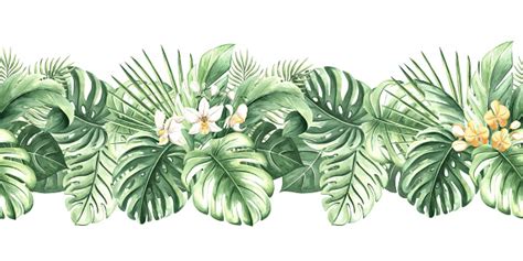 수채화 열대 잎과 흰 난초 꽃 고립 된 그림입니다 열대 우림 디자인을 위한 식물의 이음매 없는 테두리 손으로 그린 몬스테라
