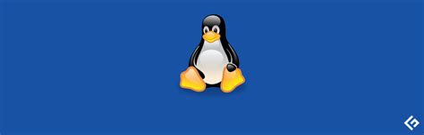 Mastering User Account Administration On Linux Systems Marketing Scoop