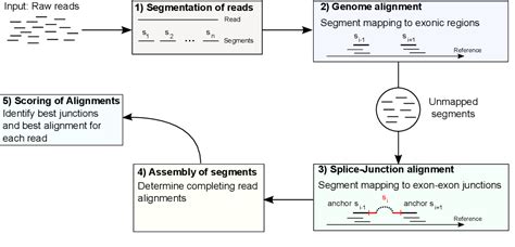 Figure 12 From Context Based Rna Seq Mapping Semantic Scholar
