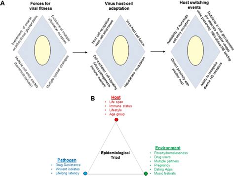 A The Role Of Cell Surface Heparan Sulfate In Viral Fitness And Host