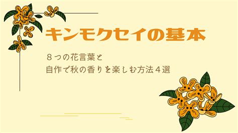 【金木犀（キンモクセイ）の基本情報】開花時期はいつ？8つの花言葉と自作で秋の香りを楽しむ方法4選 ぽにょブログ